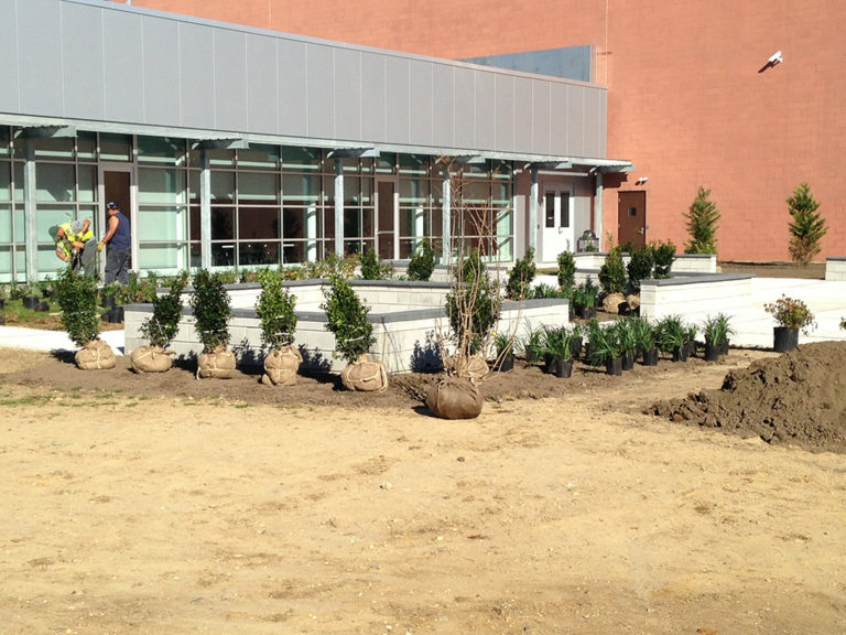 Photo Gallery | Growing Concern Inc